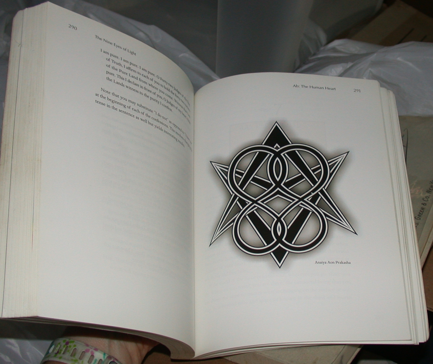 Prakasha, Padma Aon: The Nine Eyes of Light: Ascension Keys From Egypt ...