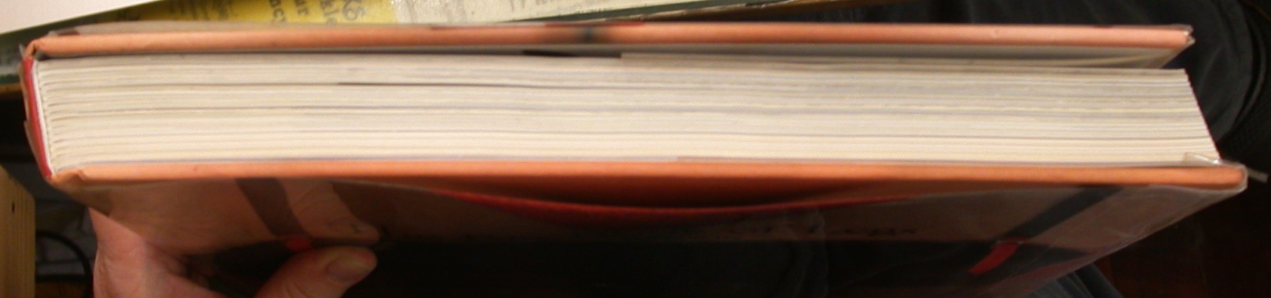 Hanson, Dian: The Big Book of Legs – The Iliad Bookshop